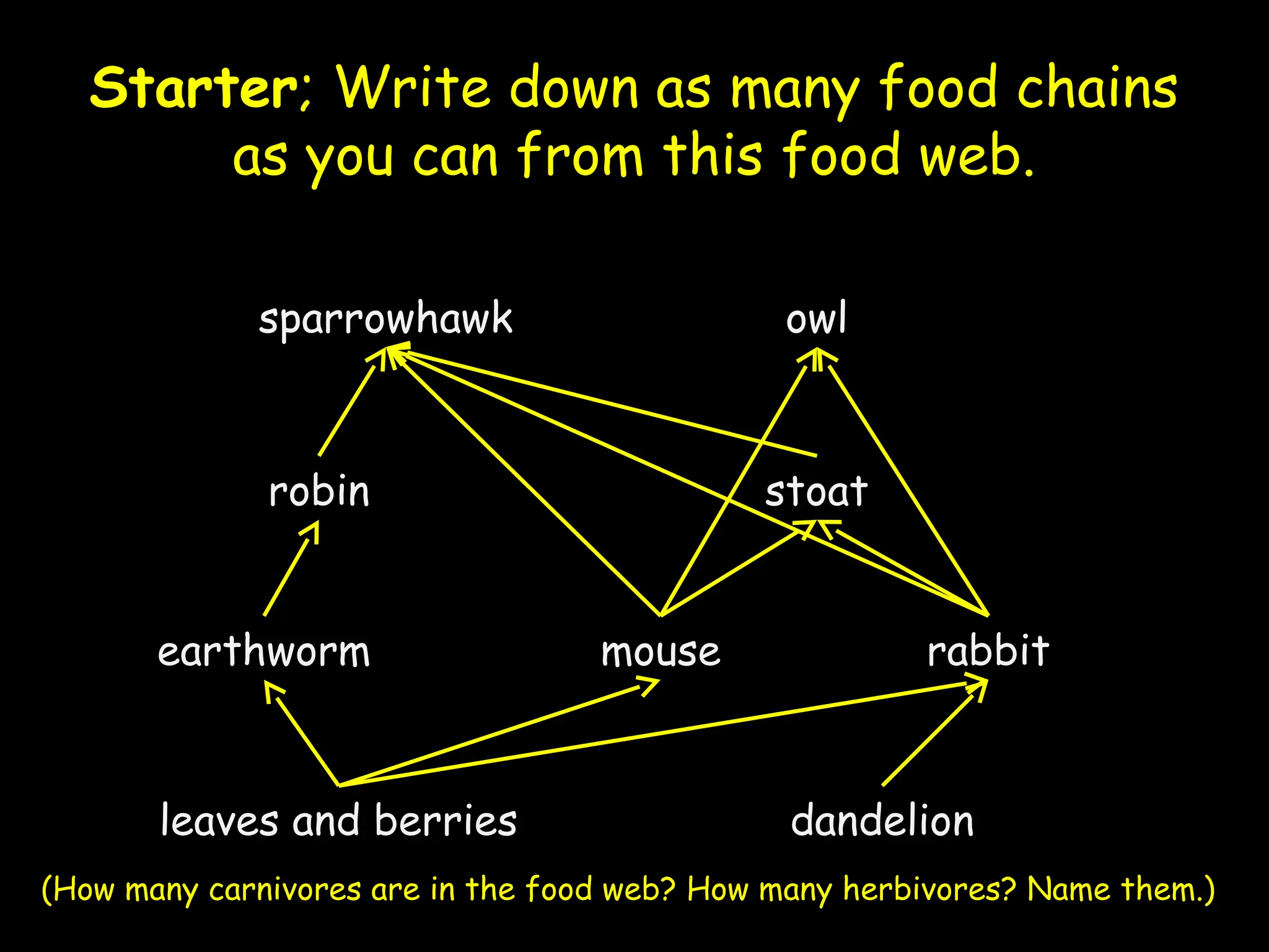 Bioaccumulation in plants and animals.ppt