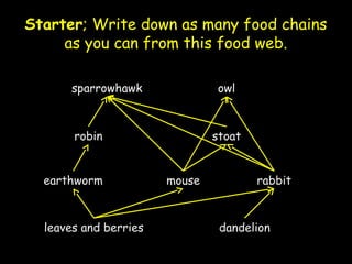 Bioaccumulation in plants and animals.ppt | Environment | Science
