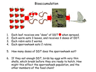 Bioaccumulation in plants and animals.ppt