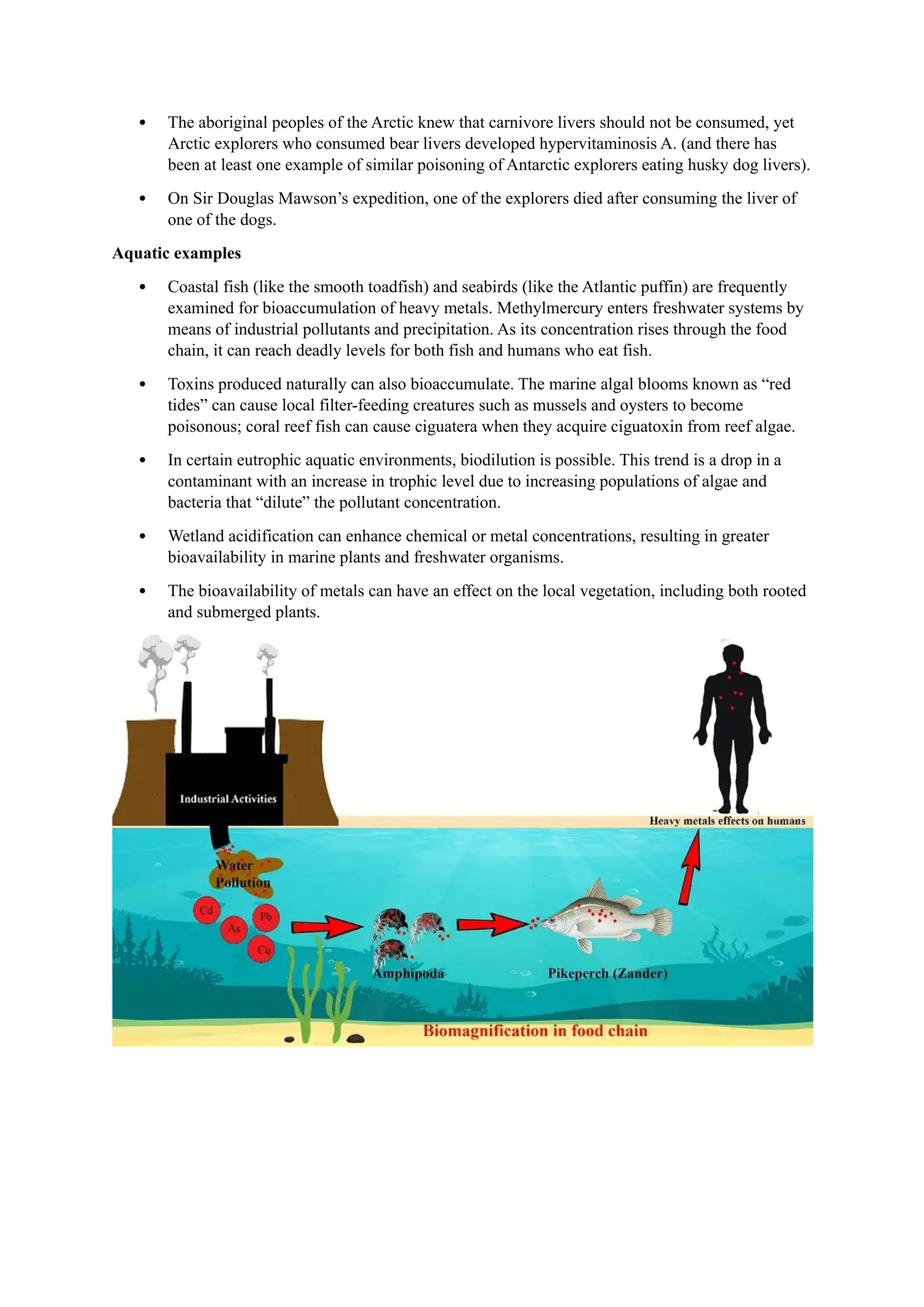 Bioaccumulation AND ITS EFFECT ON ENVIRONMENT | DOCX