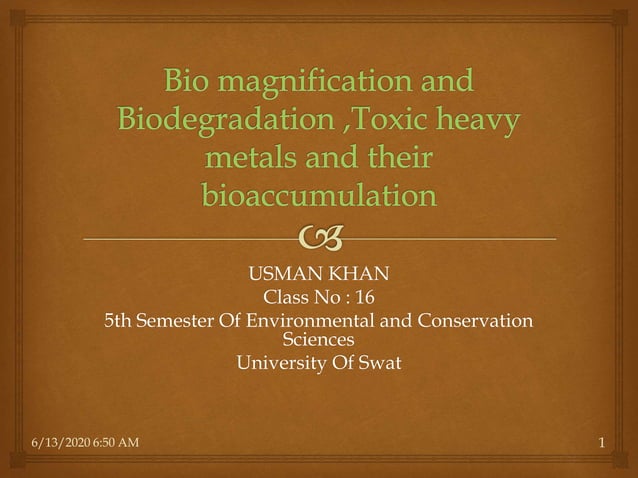 Bio-accumulation and-bio-magnification | PPTX | Chemistry | Science