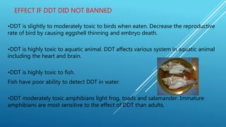 Bioaccumulation & biomagnifications | PPTX