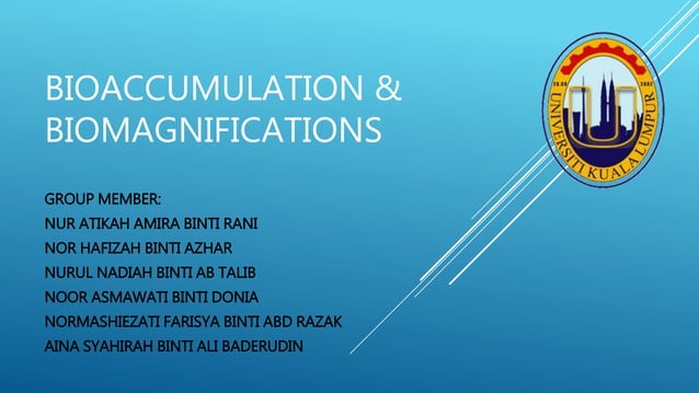 Bioaccumulation & biomagnifications | PPTX | Chemistry | Science