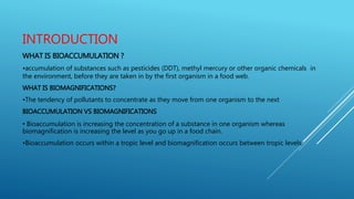 Bioaccumulation & biomagnifications | PPTX