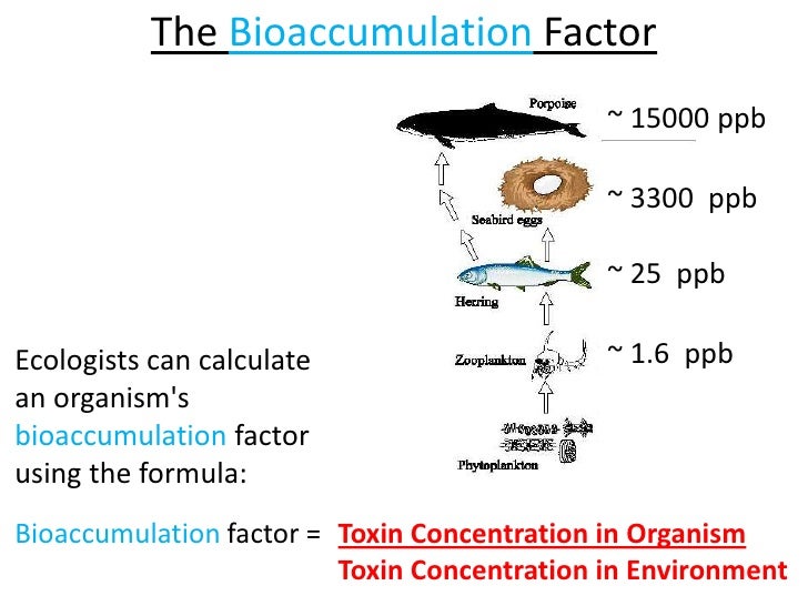 09 bio 08
