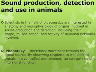 Bioacoustic | PPTX
