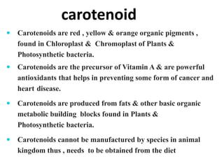 Bioactive compound in fruits and vegetables | PDF