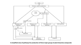 Bioactive Compounds and Extraction.pptx