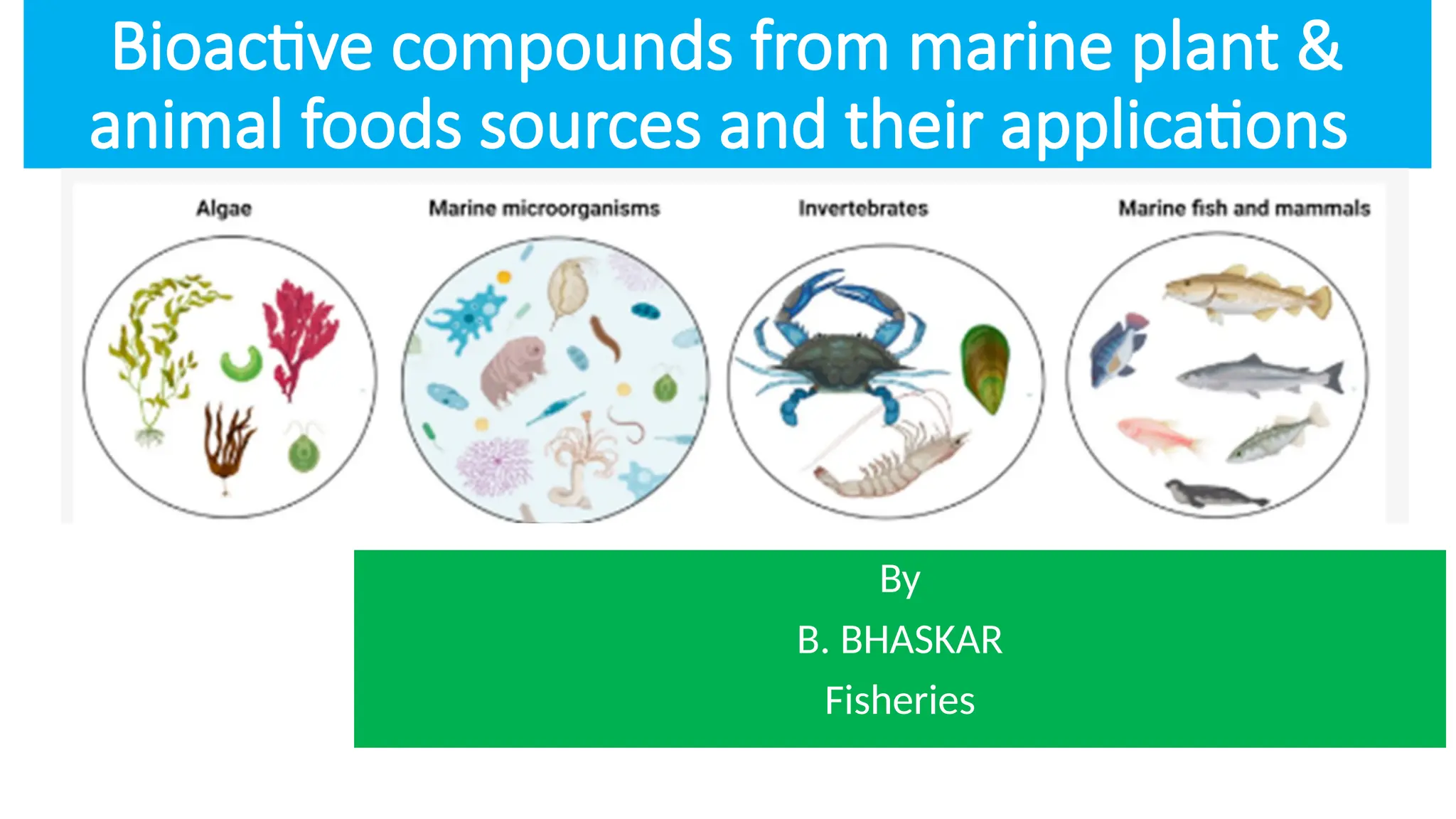 Bioactive compounds from marine sources and their applications by B | PPTX