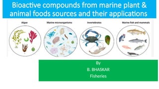 Bioactive compounds from marine sources and their applications by B | PPTX