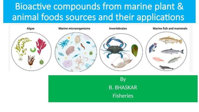 Bioactive compounds from marine sources and their applications by B | PPTX
