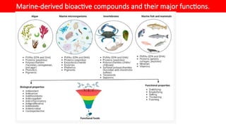 Bioactive compounds from marine sources and their applications by B | PPTX