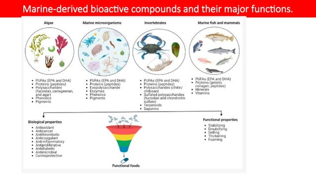 Bioactive compounds from marine sources and their applications by B | PPTX