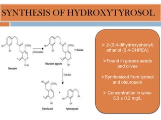 Bioactive compounds in alcoholic beverages and their role in human ...