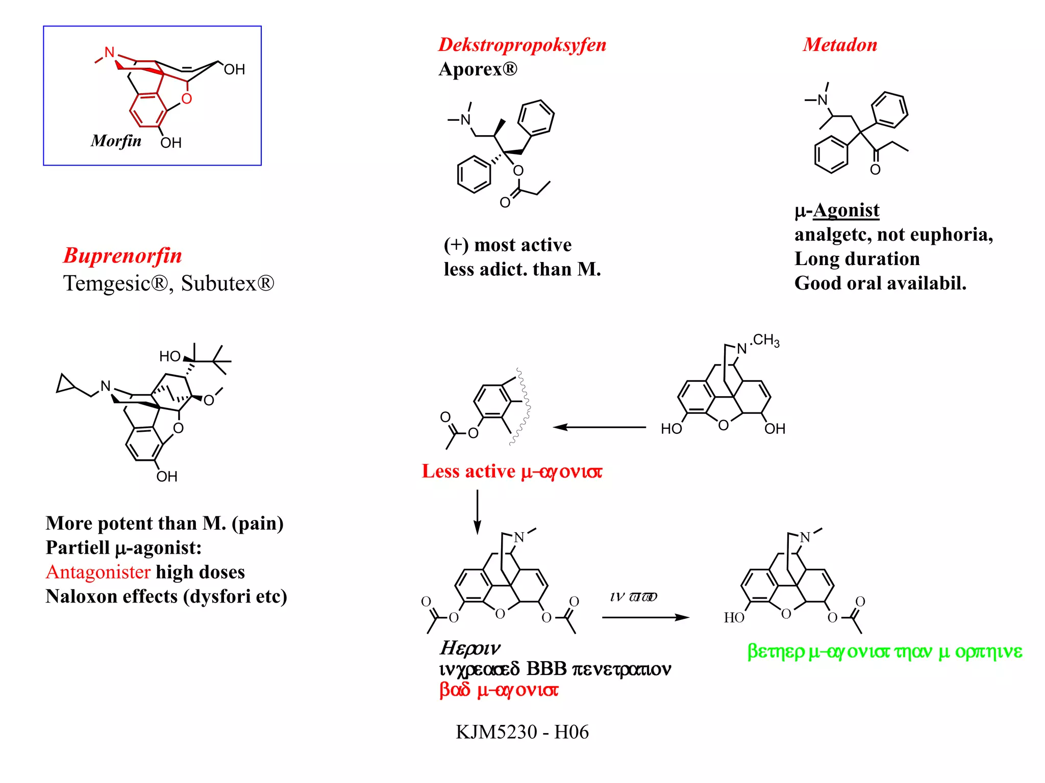 Bioactive compounds in plants.pptx