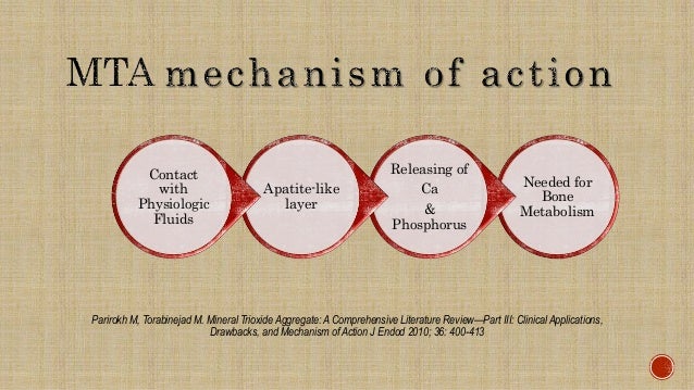 Bioactive materials in endodontics