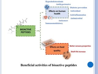 Bioactive peptides | PPTX