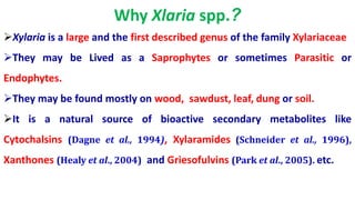 Bioactive potential of xylaria spp. | PPT