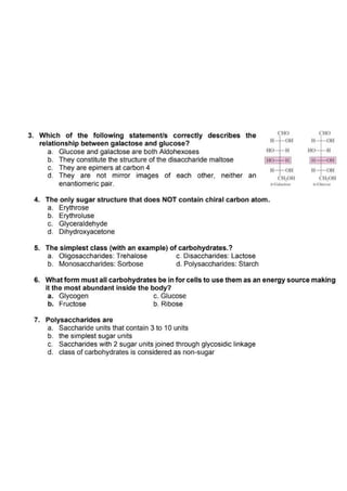 BIOCHEMISTRY ACTIVITY #5, ABOUT CARBOHYDRATES | PDF