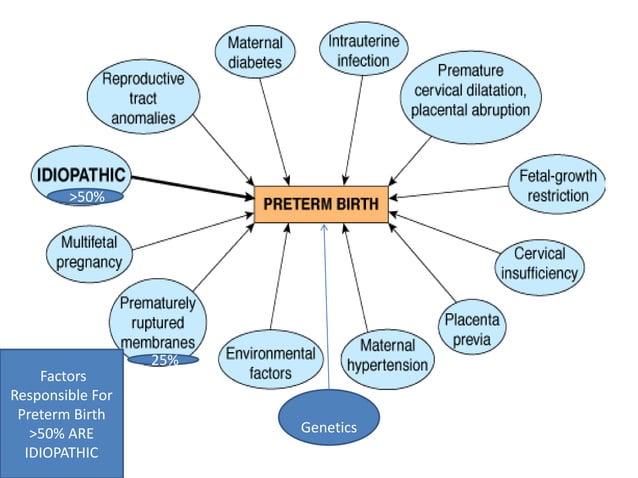 Bio activity of preterm labour | PPT