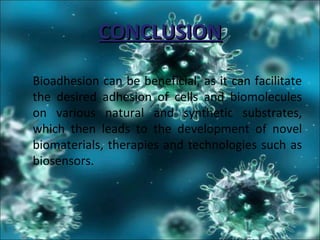 Bioadhesion | PPT