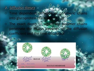 Bioadhesion : Introduction, Theories, fundamentals and models | PPT