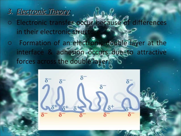 Bioadhesion : Introduction, Theories, fundamentals and models | PPT