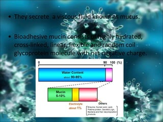 Bioadhesion : Introduction, Theories, fundamentals and models | PPT