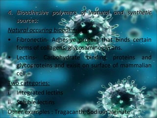 Bioadhesion : Introduction, Theories, fundamentals and models | PPT