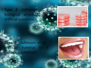 Bioadhesion : Introduction, Theories, fundamentals and models | PPT