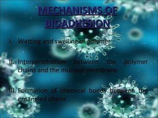 Bioadhesion : Introduction, Theories, fundamentals and models | PPT
