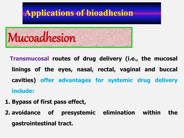 Bioadhesion Drug Delivery system | PPT | Chemistry | Science