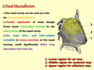 Bioadhesion Drug Delivery system | PPT