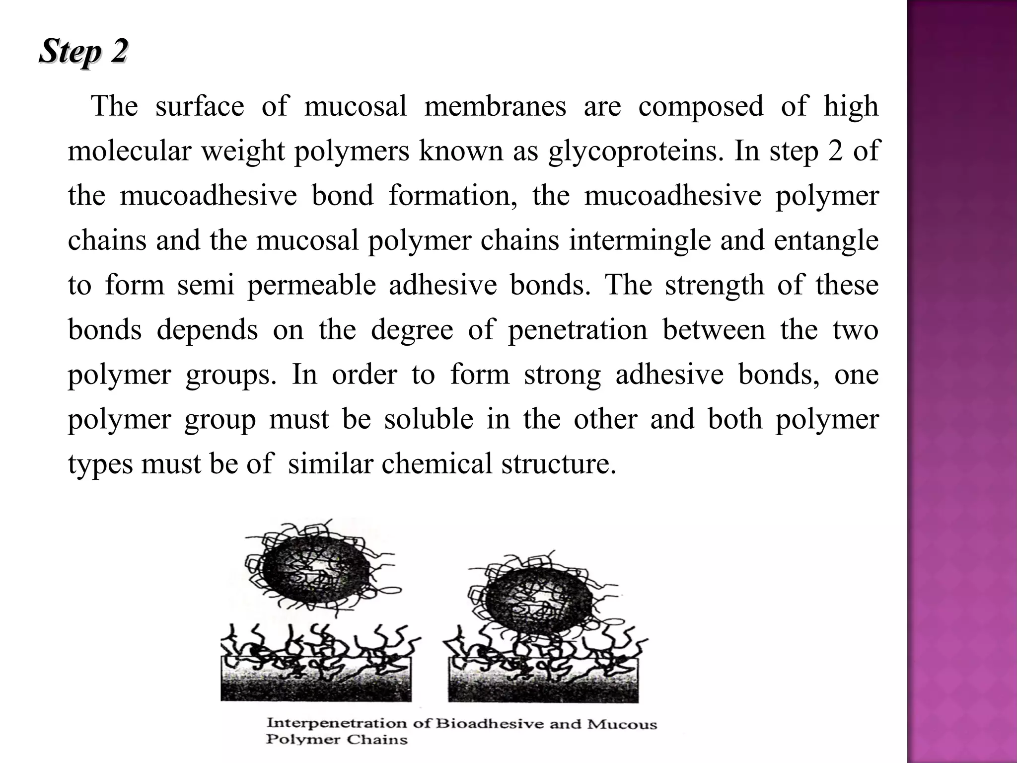 Bioadhesive drug delivery system | PPT