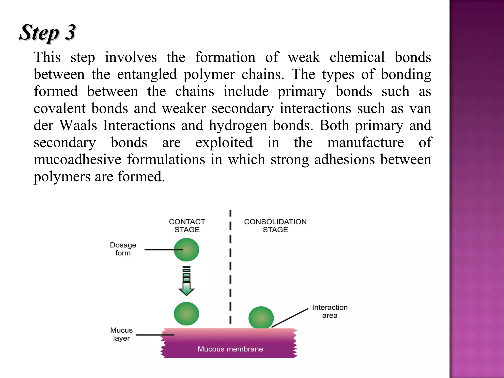 Bioadhesive drug delivery system | PPT