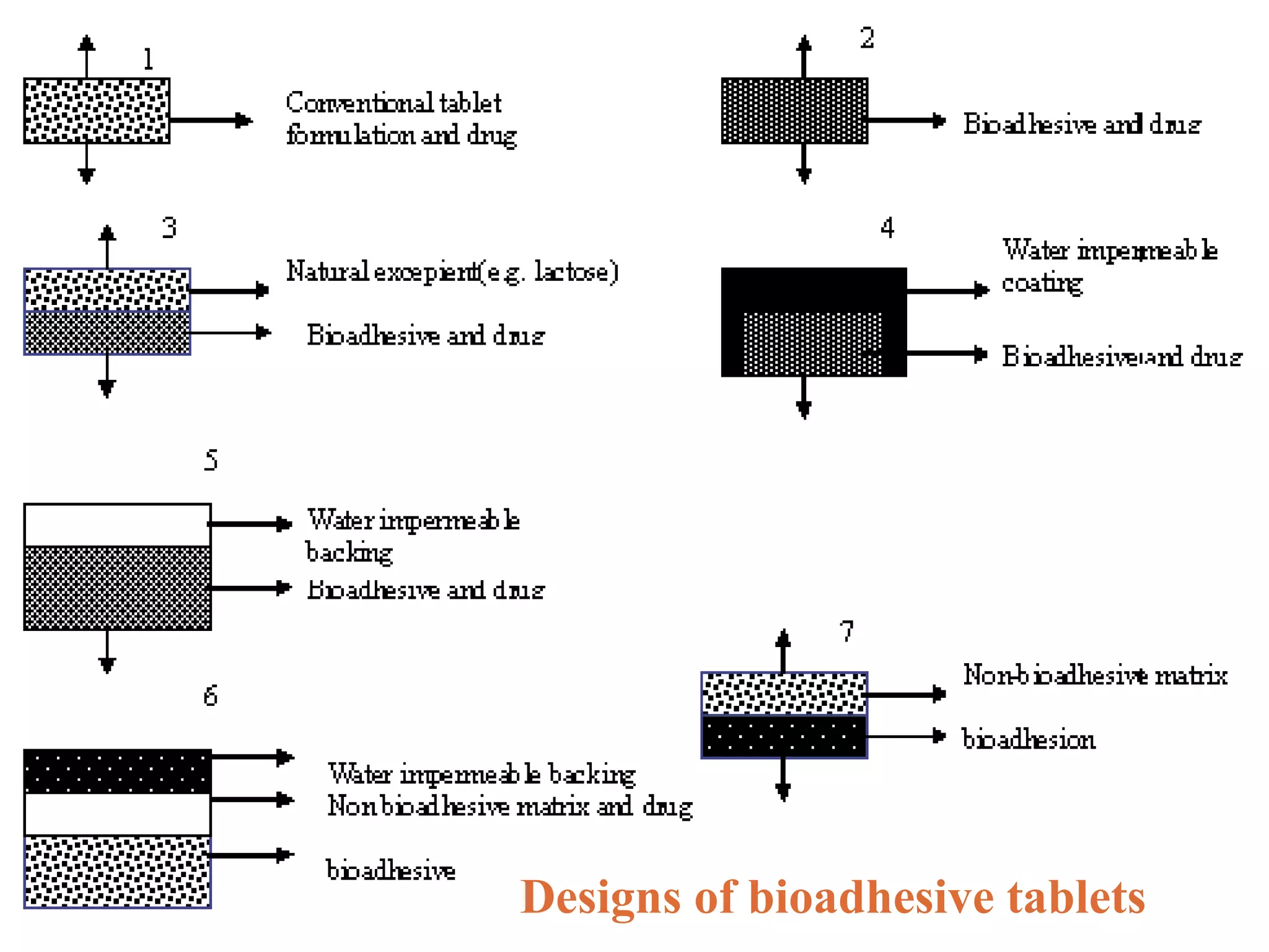 Bioadhesive drug delivery system | PPT