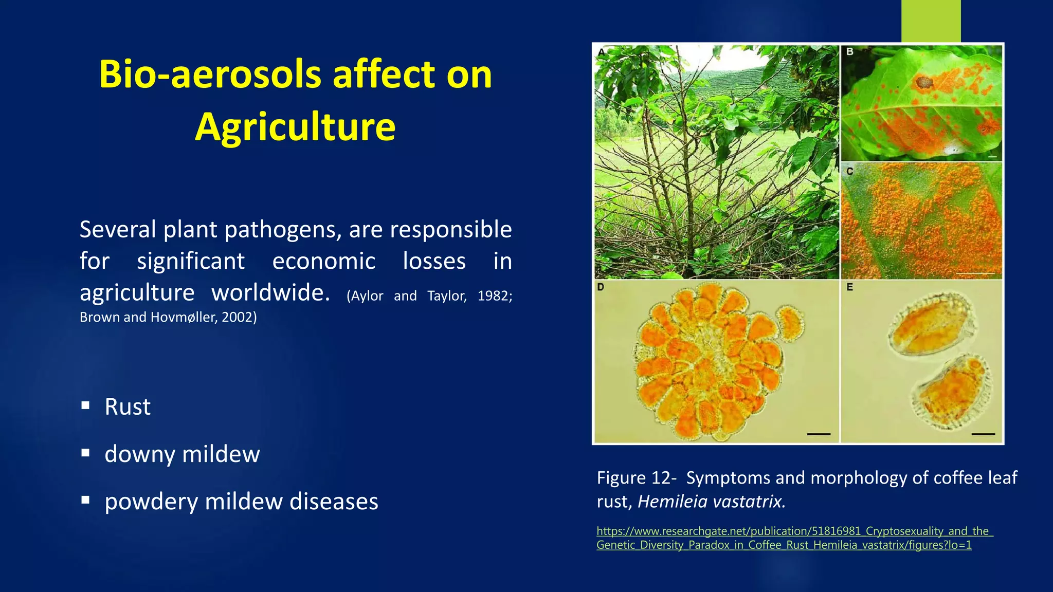 Bioaerosols & their effects | PPTX