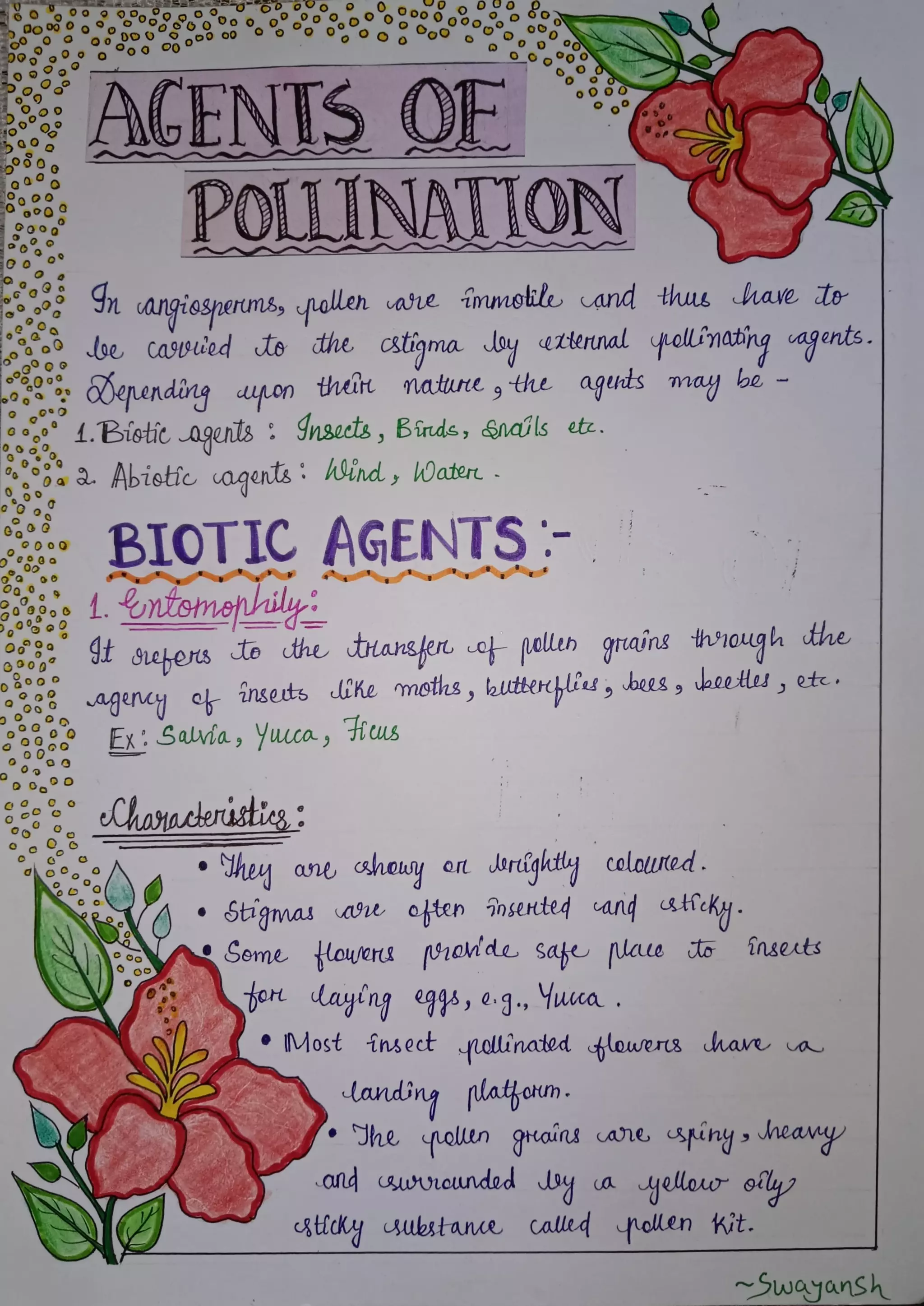 Biology Art Integrated Project on Pollination | PDF