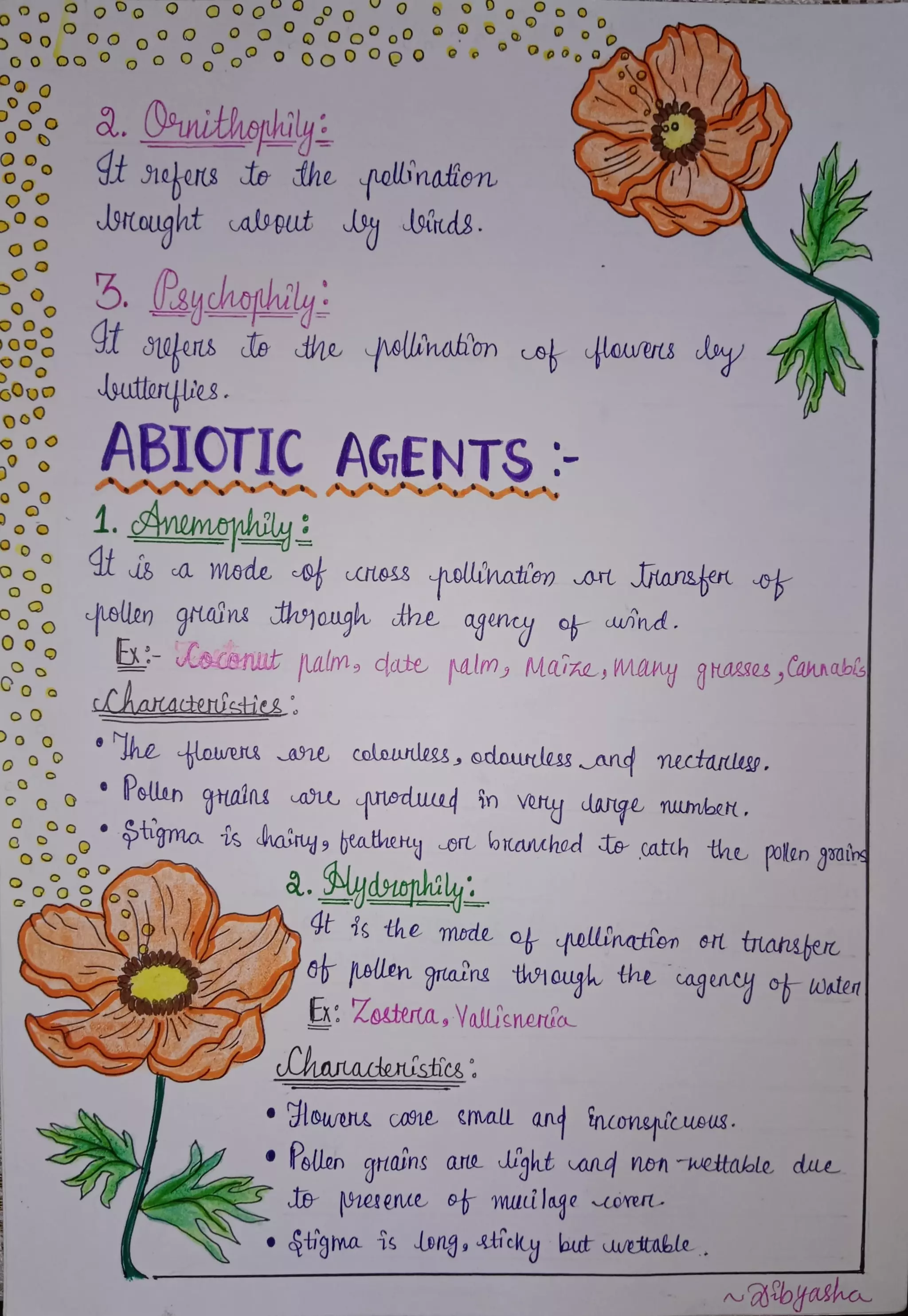 Biology Art Integrated Project on Pollination | PDF