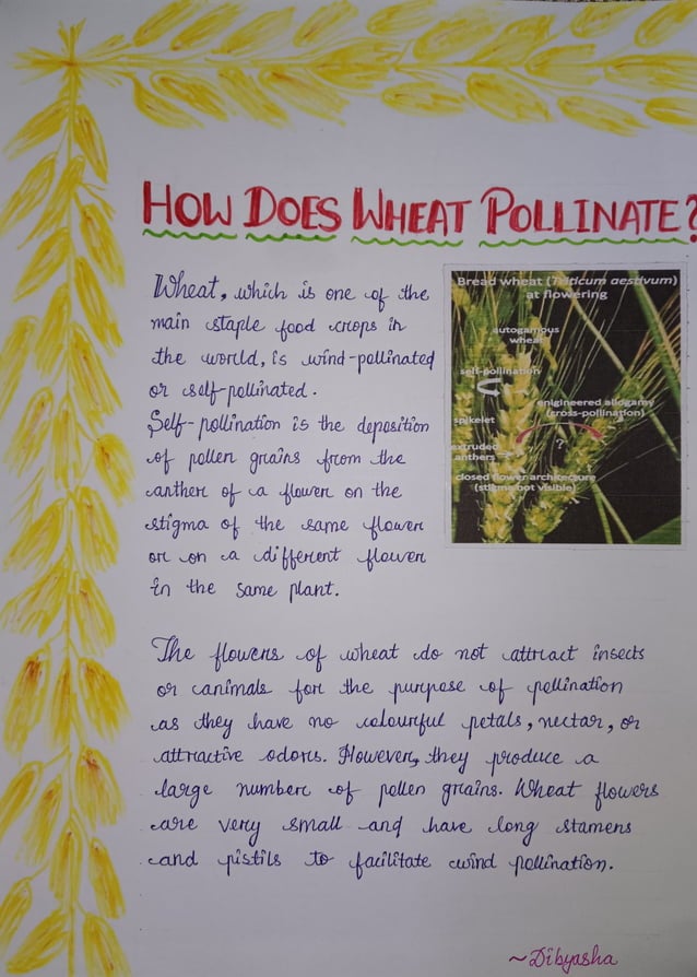 Biology Art Integrated Project on Pollination | PDF