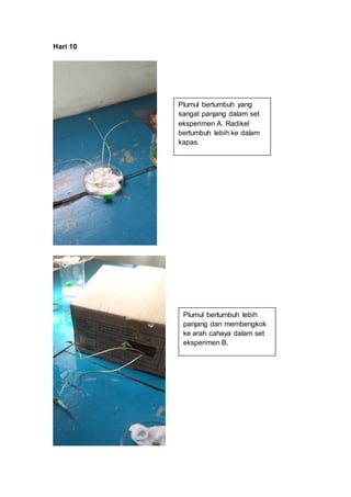 Bio amali 2 tropisme | DOCX