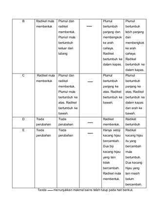 Bio amali 2 tropisme | DOCX