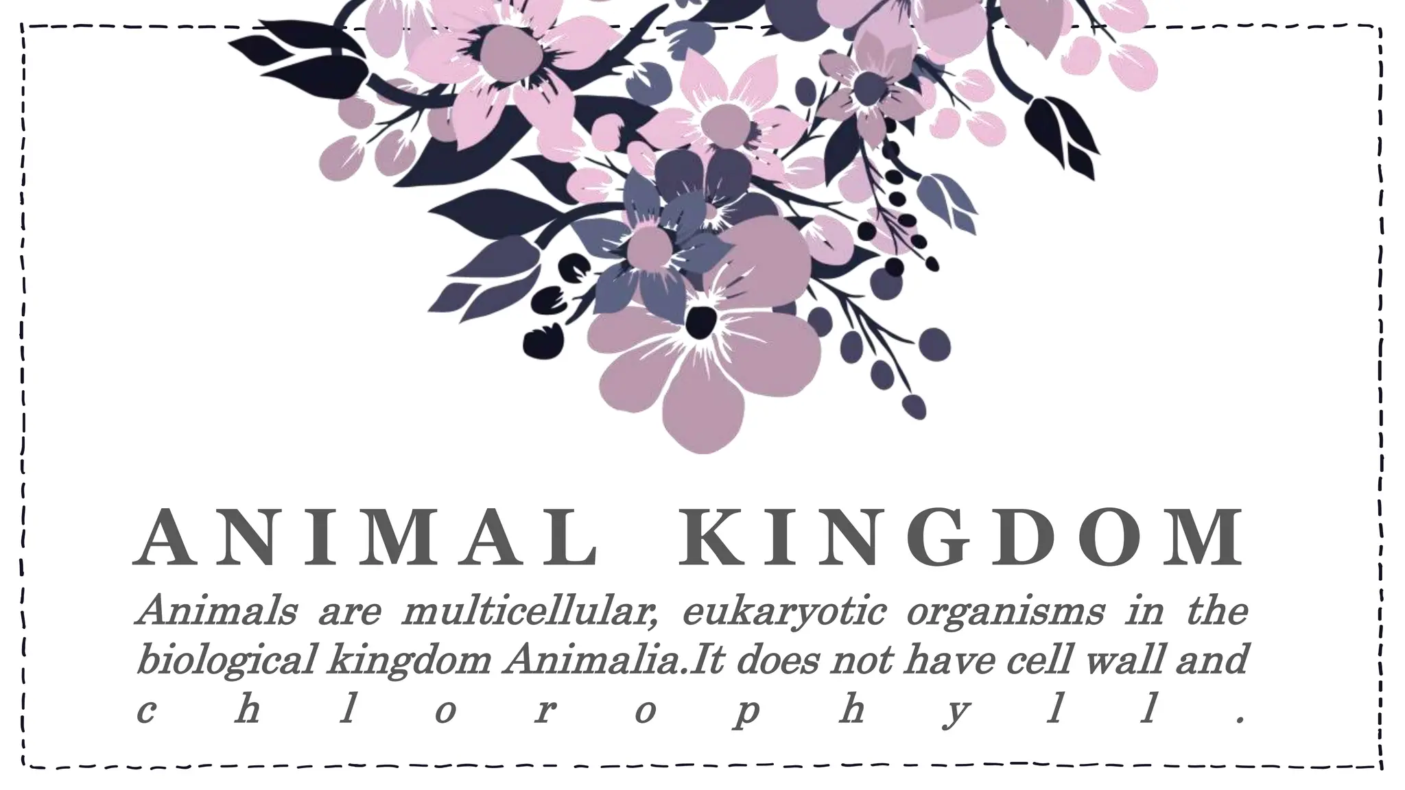 BIOLOGY ANIMAL KINGDOM CLASS. 11 NCERT.. | PPTX