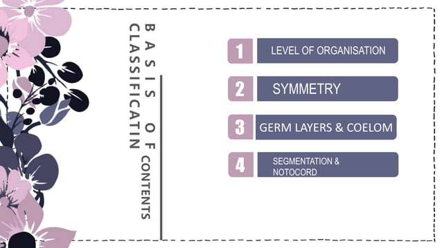 BIOLOGY ANIMAL KINGDOM CLASS. 11 NCERT.. | PPTX