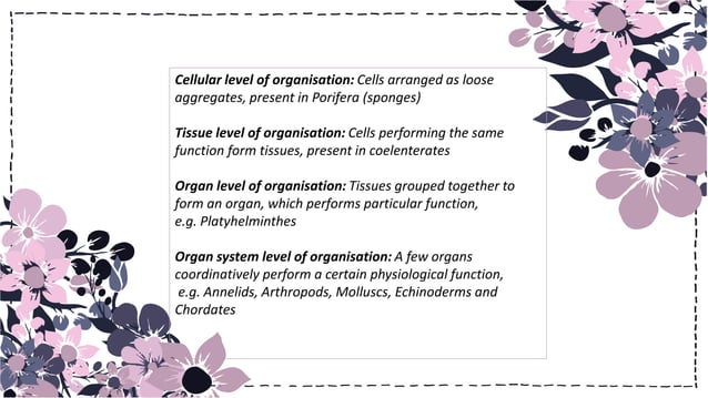 BIOLOGY ANIMAL KINGDOM CLASS. 11 NCERT.. | PPTX