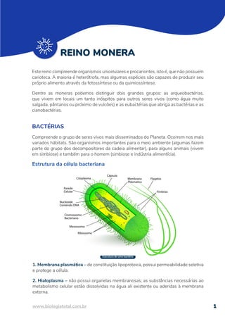 BIO_AP_Microbiologia_Reino Monera.pdf
