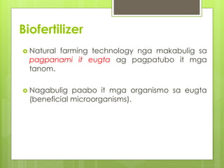 Bio-Fertilizer Preparation | PDF
