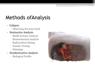 Bioarchaeology powerpoint | PPTX