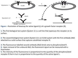 Bioassay development | PPSX
