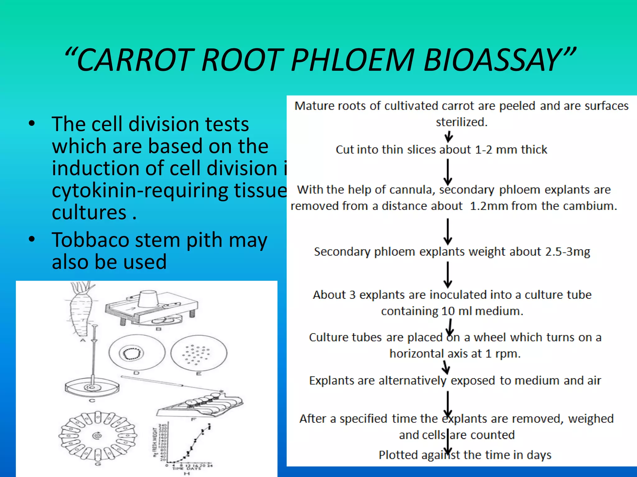Bioassay for plant growth regulators | PDF